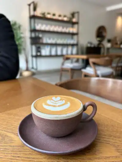 Specialty Bean Roastery - Saudi Coffee Crafters